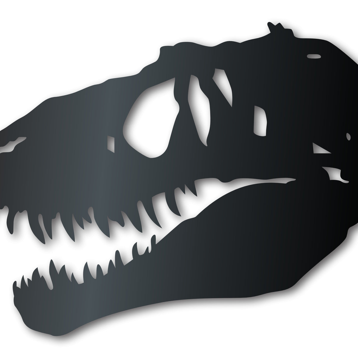 Metal T-Rex Dinosaur Skull Wall Art - 20 Color Options – 24 Hour Crafts