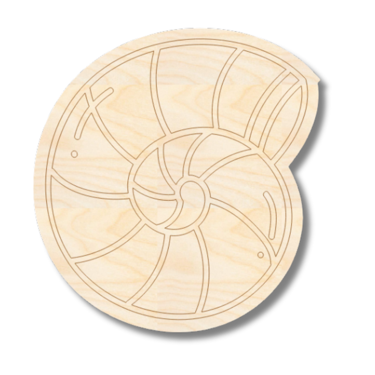 Unfinished Wood Etched Sea Shell Shape | Paint By Line Crafts | up to ...