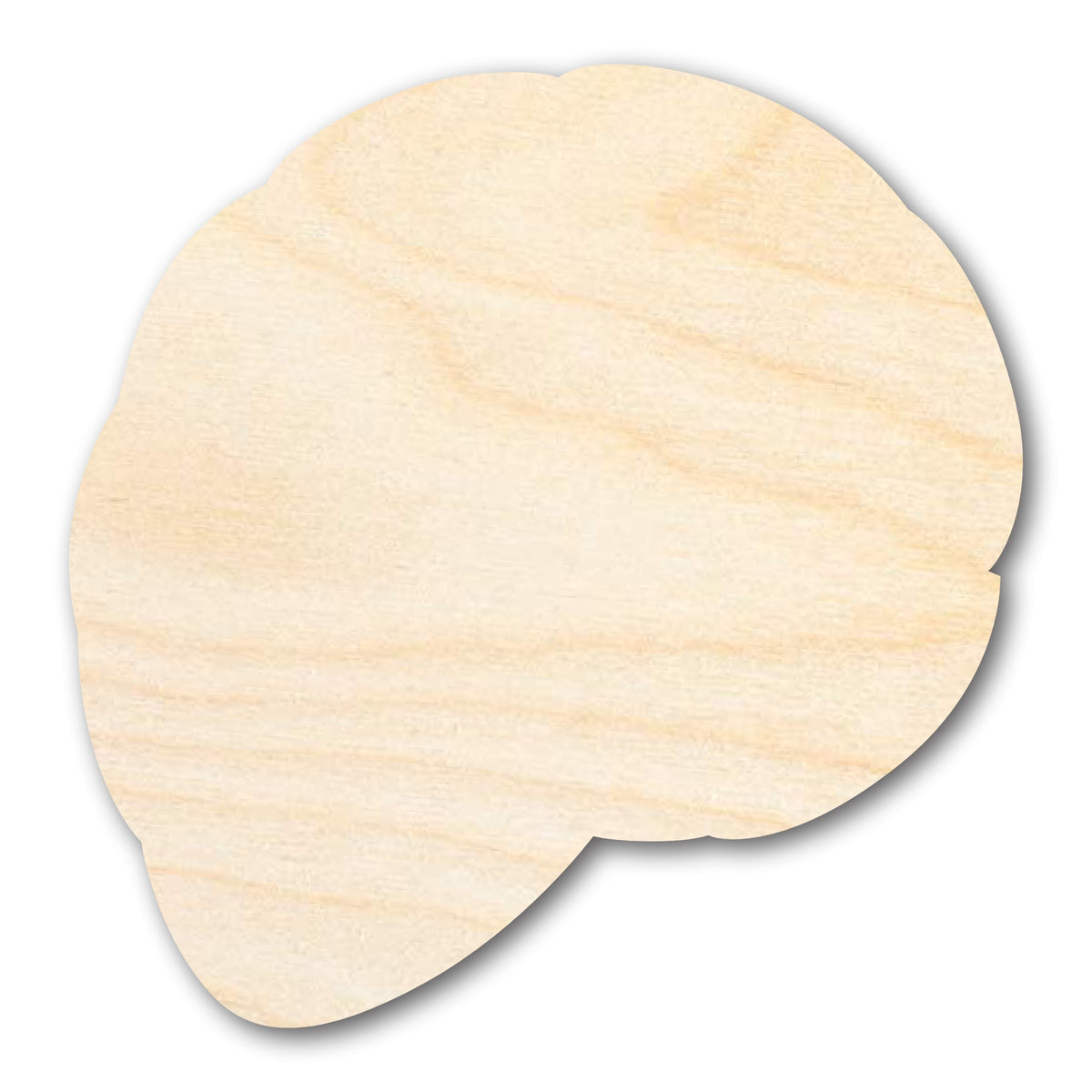 Unfinished Wood Shell Shape | DIY Craft Cutout | up to 46" DIY – 24 ...