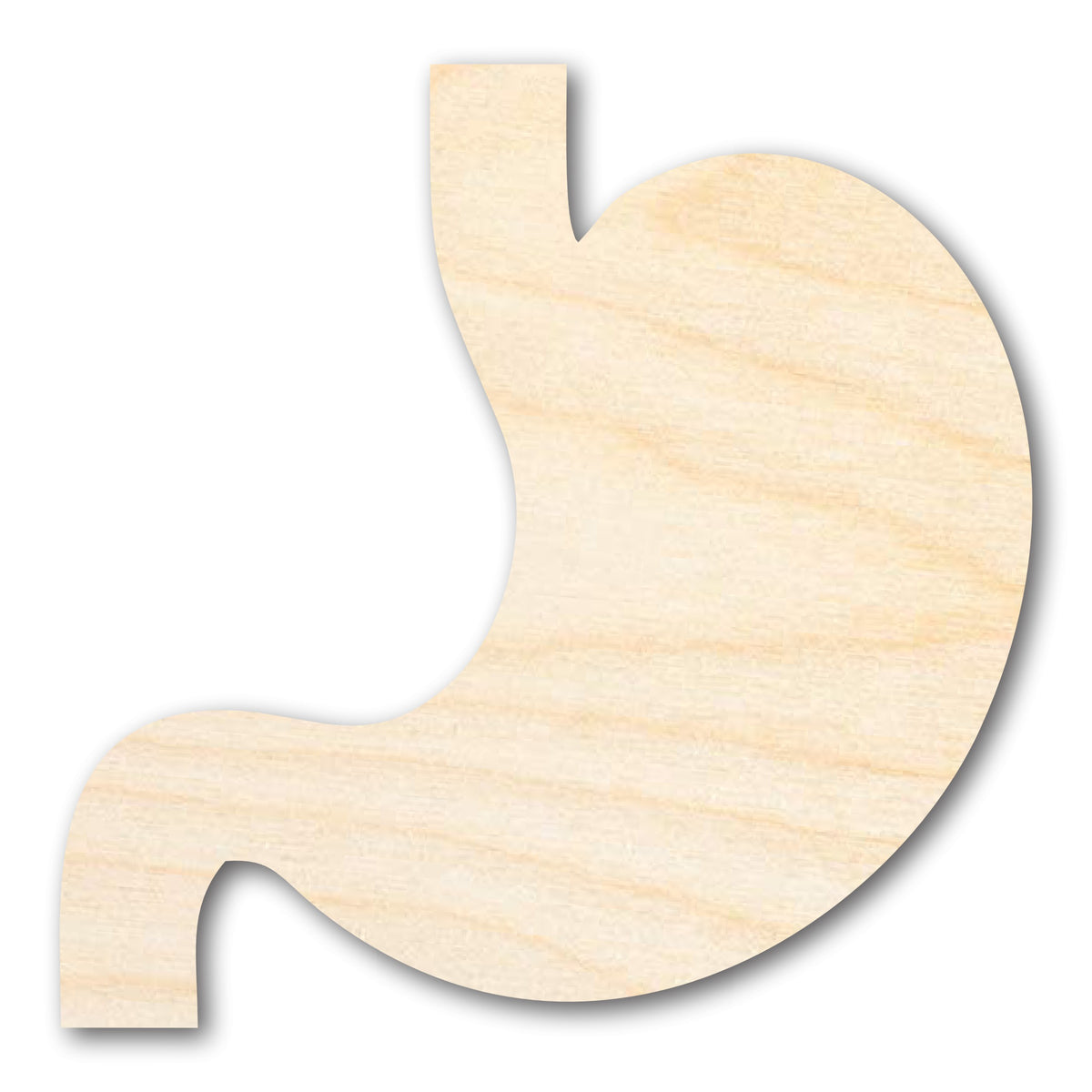 Unfinished Wood Stomach Shape | DIY Craft Cutout | up to 46" DIY – 24 ...