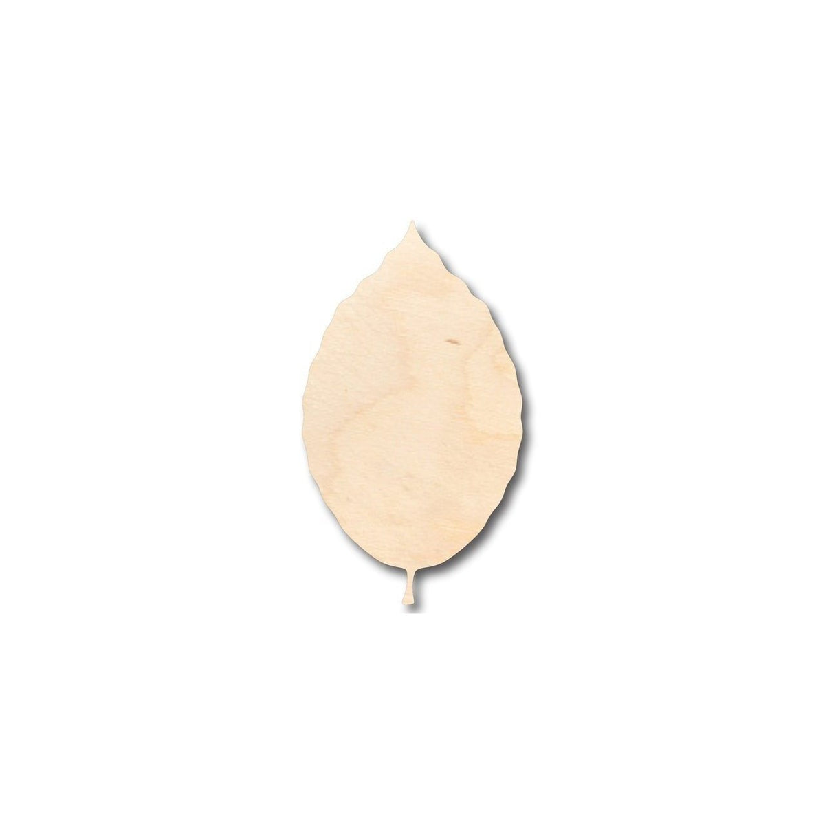 Unfinished Wood Beech Leaf Shape - Craft - up to 46" DIY – 24 Hour Crafts