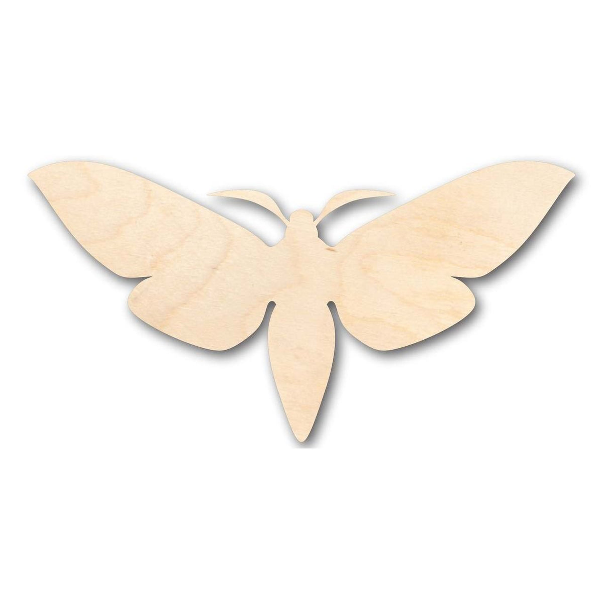 Unfinished Wood Moth Shape - Insect - Craft - up to 46" DIY – 24 Hour ...